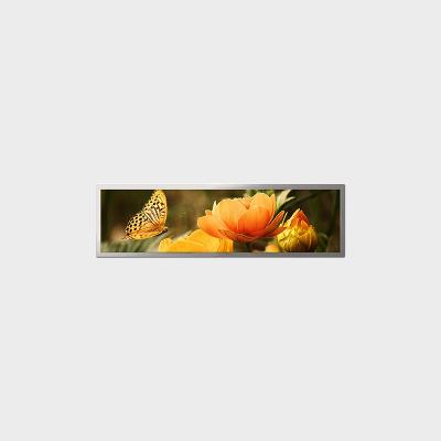 China 16.8 inch Bar Type LCD Display 1366*384 LVDS 700nits for sale