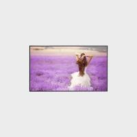 China 55 inch High Brirghtness LCD Display 3840*2160 V-by-One 3000 Nits Display for sale