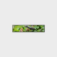 China 37.8 Inch Advertising LCD Display Bar Type 1920*387 LVDS 2000nits for sale