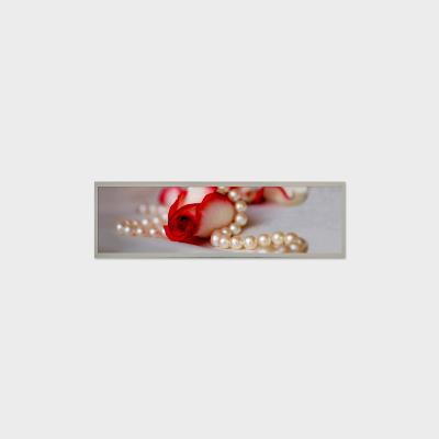 China 19.4 Inch Bar LCD Panel 1920*510 LVDS 1000 Nits Screen For Commercial Signage for sale