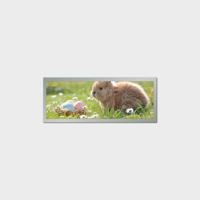 China Bar Type 9 Inch LCD Display Screen 1280*448 LVDS 500nits For Public Transportation for sale