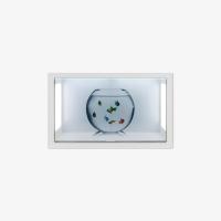 China 90 Inch Transparent LCD Screen Display 1920*1080 Transparent Display Screen for sale
