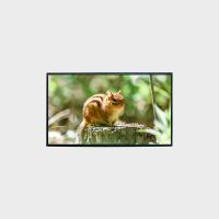 China LCD Screen 43 Inch LCD Panel 1500nits resolutiong 1920*1080 LCMA-RX0430GL10-C150 for sale