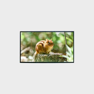 China LCD Screen 43 Inch LCD Panel 1500nits resolutiong 1920*1080 LCMA-RX0430GL10-C150 for sale