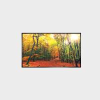 China LCD Screen 43 Inch LCD Panel 1000nits resolutiong 3840*2160 LCMA-RX0430GL19-Z100 for sale