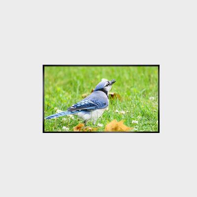 China 43-inch High Brightness LCD Screen LCMA-RX0430GB07-Z250 with 1920*1080 Resolution and Brightness of 2500nits for sale