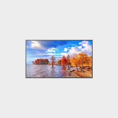 China 86 Inch High Brightness LCD Screen 3840*2160 1000nits LCMA-RX0860GL03-Z100 for sale