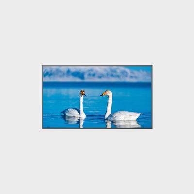 China 65 Inch High Brightness LCD Panel 1920*1080 2000nits LCMA-RX0650GB08-Z200 for sale
