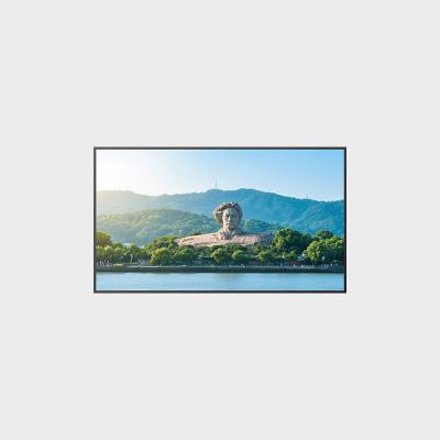 China 55 inch High Brirghtness LCD Screen 1920*1080  2000nits LCMA-RX0550GL30-Z300 for sale
