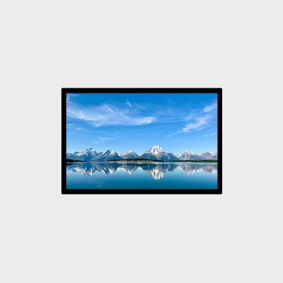 China 10.1 Inch High Brightness LCD Panel 1280*800 LVDS 1000nits LCMA-RX0101GI01-C100 for sale