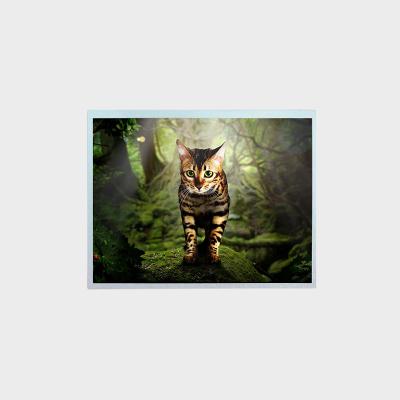 China 12.1 Inch High Brightness LCD Panel 1024*768 LVDS 1000nits LCMA-RX0121GR01-C100 for sale