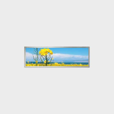 China 19.4 Inch TFT LCD Display Solution With 1920*510 Support Customization Smart Home Application for sale