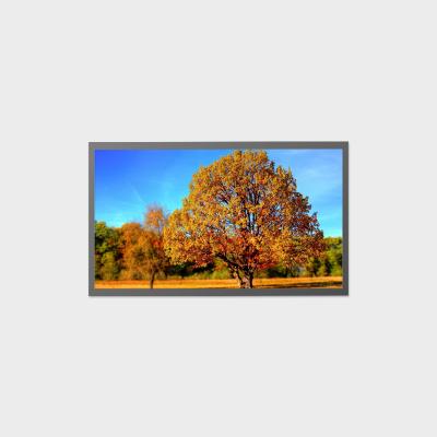 China 13.1 inch TFT LCD Display Support High Brightness Industrial Control for sale