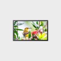 China 32 inch TFT LCD Advertising Display 4000nits High Brightness Solution for sale