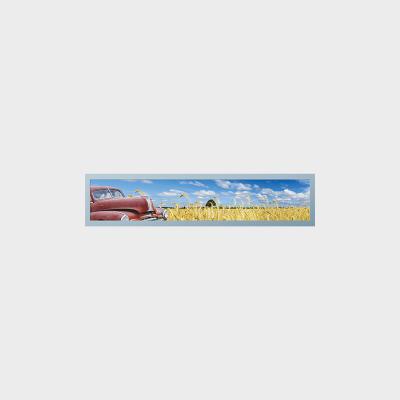 China 28 Inch Bar Type TFT Display Subway Transportation Application With Customization for sale
