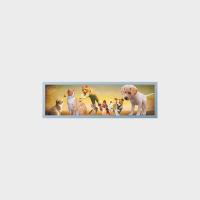 China 28.6 Inch Bar Type TFT Display Module Support Customized Advertising Machine for sale