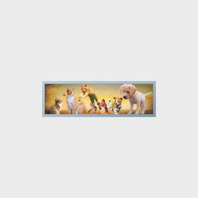China 28.6 Inch Bar Type TFT Display Module Support Customized Advertising Machine for sale