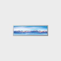 China 19.4 Inch Bar Type TFT LCD 1000nits Brightness With Low Ppower Consumption Solution for sale