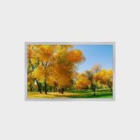 China 12.1 Inch TFT LCD Display With 1280*800 Resolution 16:9 LVDS Inerface 1500nits for sale