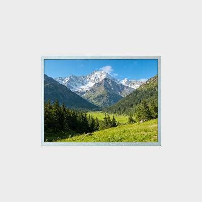 China 15 Inch TFT LCD Display With 1024*768 Resolution Support -30~80°C Solution for sale