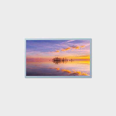 China 21.5 Inch TFT LCD Display Industrial Middle Size Solution With 1000nits Support Outdoor. for sale
