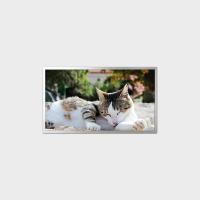China 18.5 Inch TFT LCD Display E-LED type Series Solution With 1200nits Brightness for sale