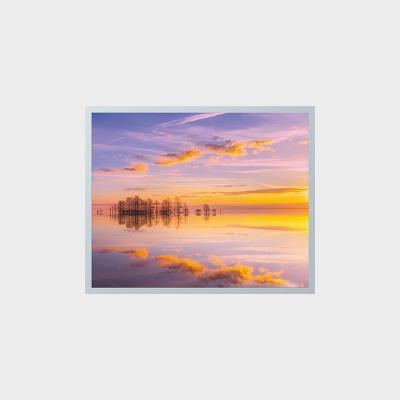 China 19 Inch High Brightness TFT LCD Display 1280*1024 Resolution Industrial Area for sale