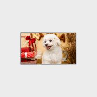 China 55 inch With 3500nits High Brightness LCD Advertiing Completed Machine Solution for sale