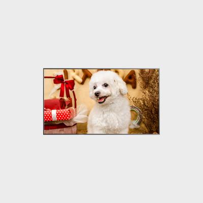 China 55 inch With 3500nits High Brightness LCD Advertiing Completed Machine Solution for sale