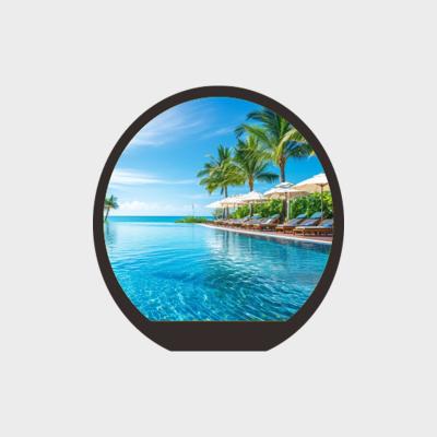 China 0.99 Inch Round LCD With 450nits Brightness Solution Support Smart Watch Application for sale