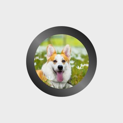 China 1.28 Inch Round LCD 240*240 Resolution With 500nits Brightness for sale