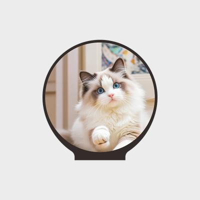 China 2.76 Inch Round LCD 480*480 Resolution With 300nits Brightness IPS View Angle for sale