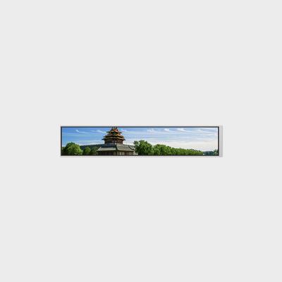 China 6.9 Inch Bar-Type LCD With 280*1424 Resolution Support Brightness Customization for sale