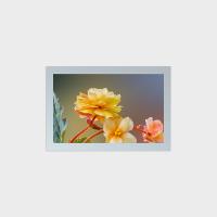 China 27 Inch Square Type TFT LCD With 1847*1154 Resolution Cutting Solution for sale