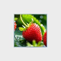 China 33.3 Inch Square Type LCD Solution With 1:1 Aspect Ratio Support Advertising Project for sale