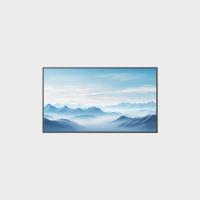 China 65 Inch High Brightness TFT Display Outdoor Shop Showcase Monitor for sale