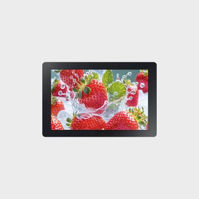 China 10.1 Inch Support 1000nits High Brightness With 1920*1200 Resolution Solution for sale