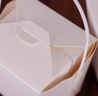 China 350g food grade cardboard white paper salad box with plastic handle for sale
