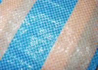 China Eco Friendly Pp Woven Cloth / Woven Polypropylene Fabric , 0.6 - 1 Mm Thick for sale