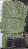 China Biodegradable Woven Hay Bale Packing Cloth Non Toxic Mulituse 60 Gsm - 110 Gsm for sale