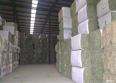 China Custom Printed PP Woven Fabric For Shrink Wrap Hay Bales Crush Resistance for sale