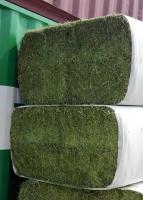 China Multi Colored PP Woven Hay Bale Sleeves for sale