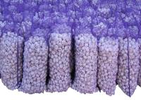 China Plastic Polypropylene Woven Industrial Mesh Bags For Orange / Garlic , Tubular Shaped for sale