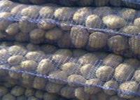 China Agriculture Drawstring Poly Mesh Bags For Produce , Polypropylene Mesh Packing Bags for sale