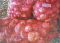 China PE Polyethylene Plastic Woven Mesh Fruit And Vegetable Bags for sale