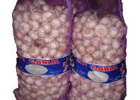 China Heavy Duty Poly Mesh Bags For Produce , Polypropylene Mesh Fruit And Vegetable Bags for sale