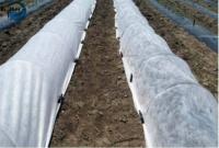 China Custom color waterproof spun-bonded nonwoven fabric for bags for sale