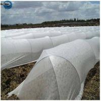 China Custom price d cut shopping bag fabric material polypropylene spunbond non woven fabric rolls for sale