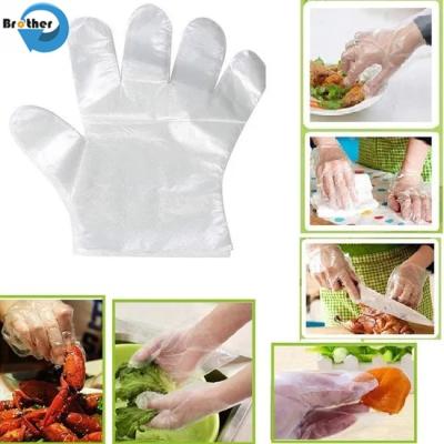 China Medical Grade Heavy Duty TPE/CPE Powder-Free Gloves Pack of 200/500 Dispenser Color Box for sale
