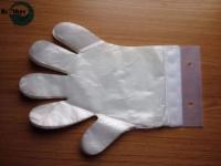 China High Quality Disposable Plastic LDPE/HDPE/CPE/TPE Gloves Comfortable Fit 200 PCS Per Pack PE Material Clear Customized Package for sale